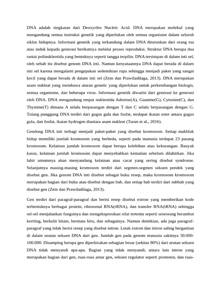 Dastor Biokim Perc 8 | PDF