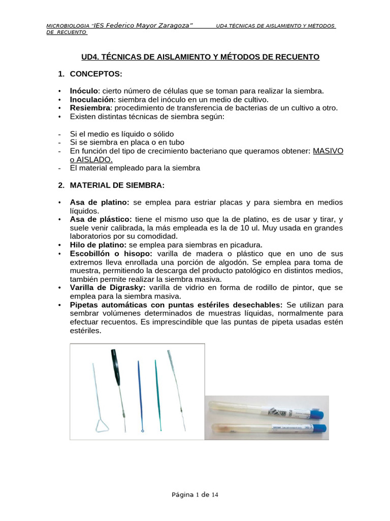 Ud4. Técnicas de Aislamiento y Métodos de Recuento | PDF | Las bacterias | Unidad de formación ...
