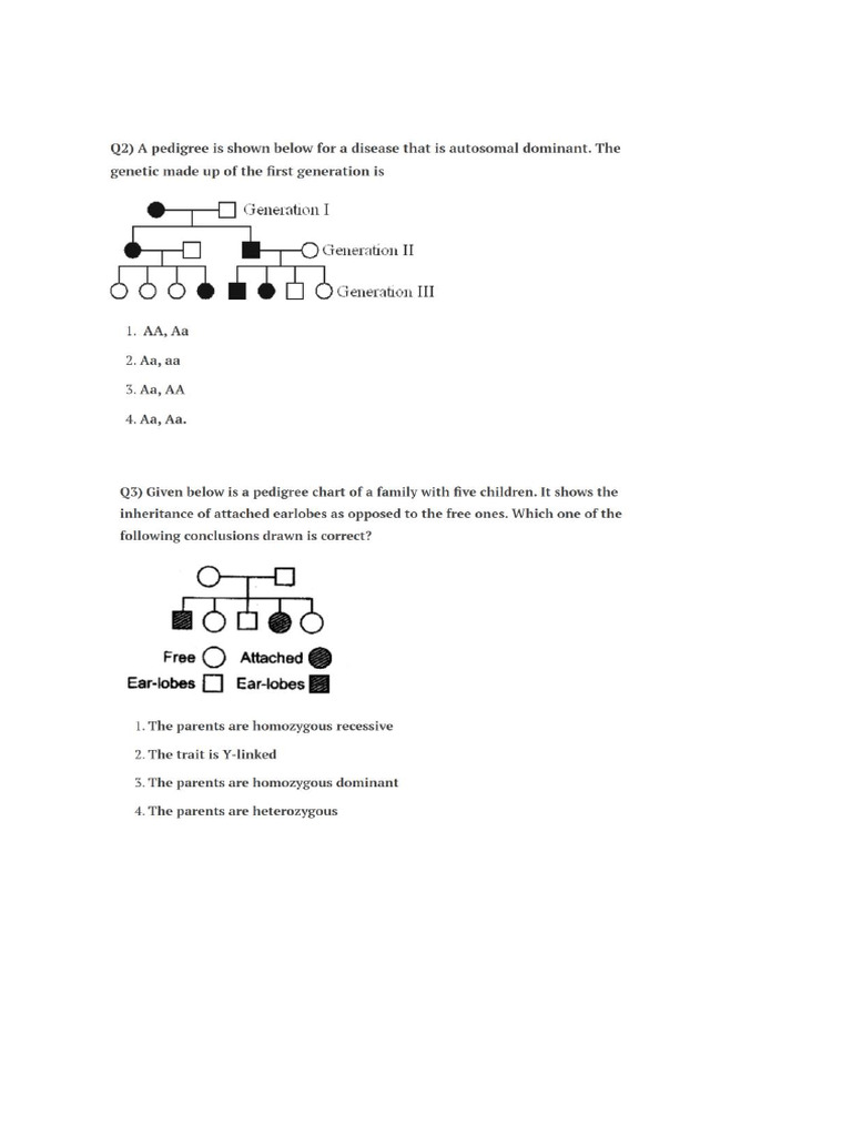 Pedigree Questions | PDF