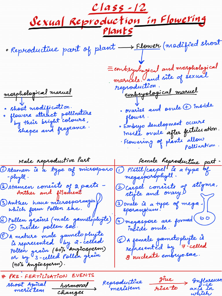 Sexual Reproduction in Flowering Plants - 241230 - 110654 | PDF