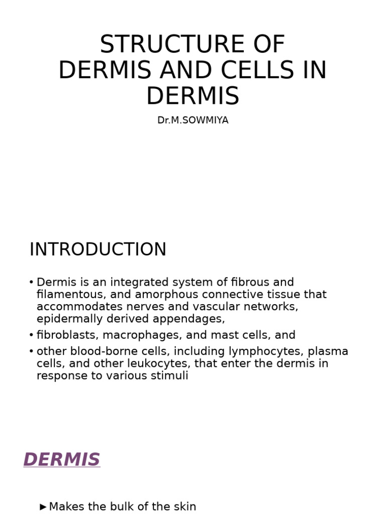 Dermis | PDF | Extracellular Matrix | Collagen