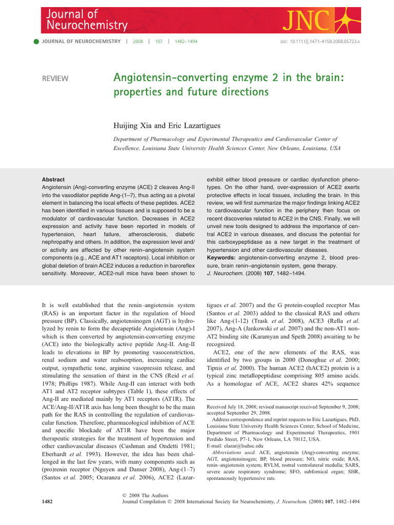 Angiotensin-converting enzyme 2 in the brain | PDF | Angiotensin
