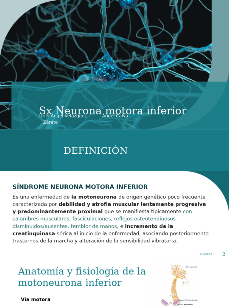 Síndrome de Neurona Motora Inferior | PDF | Neurona motora | Nervio