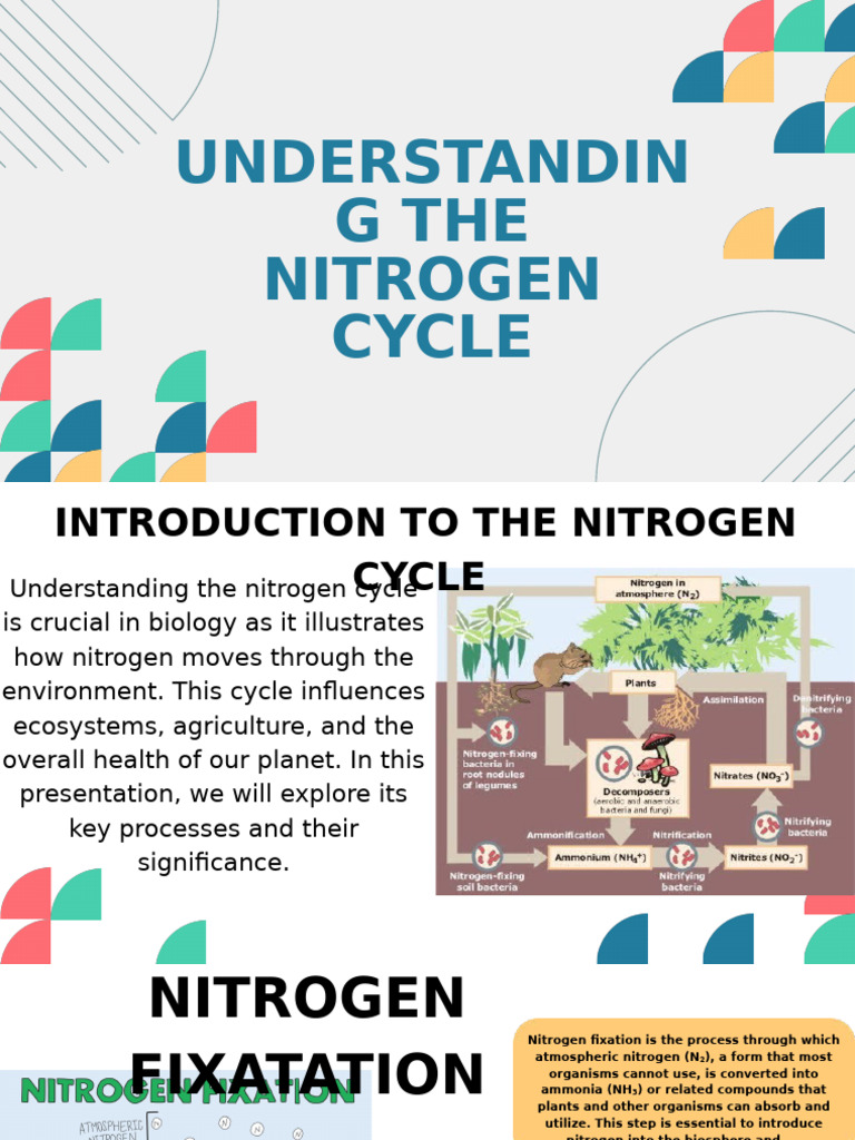 Understanding The Nitrogen Cycle | PDF | Nitrate | Nitrogen