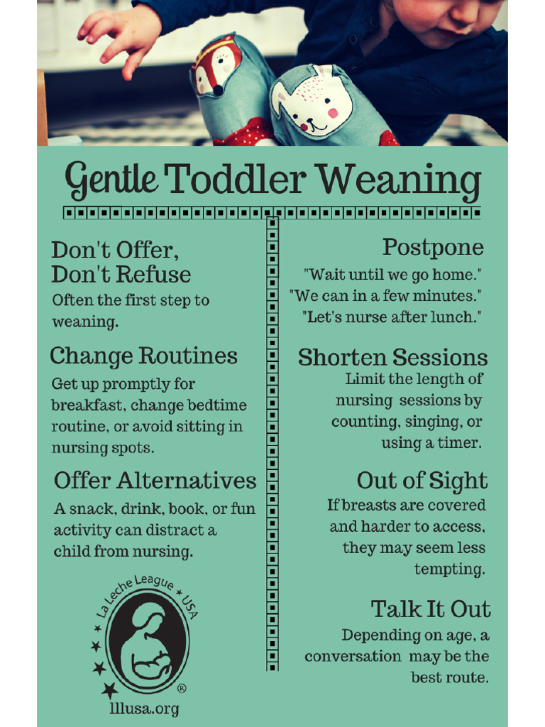 Gentle Toddler Weaning | PDF