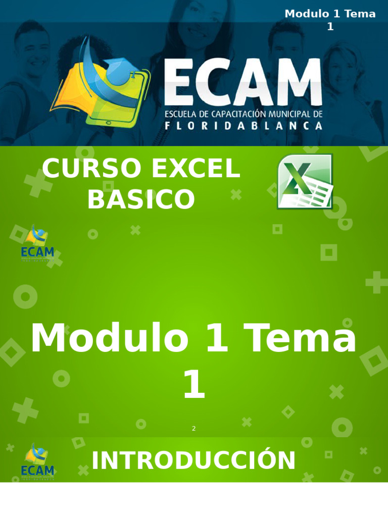 MODULO 1 TEMA 1 | PDF | Microsoft Excel | Tecnologías de la información