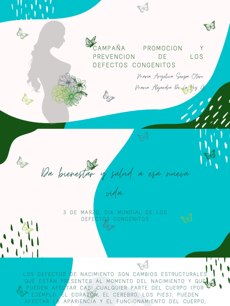 Prevencion y Promocion | PDF | El embarazo | Causas de la muerte