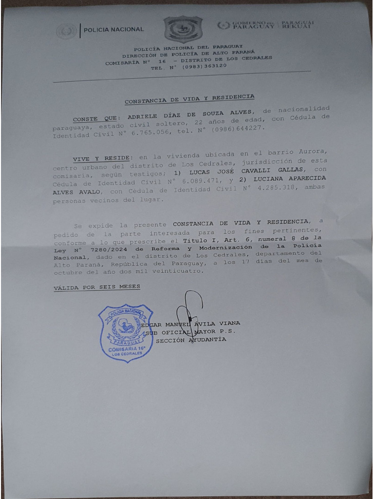 PDFReader_20241017_1133 | PDF