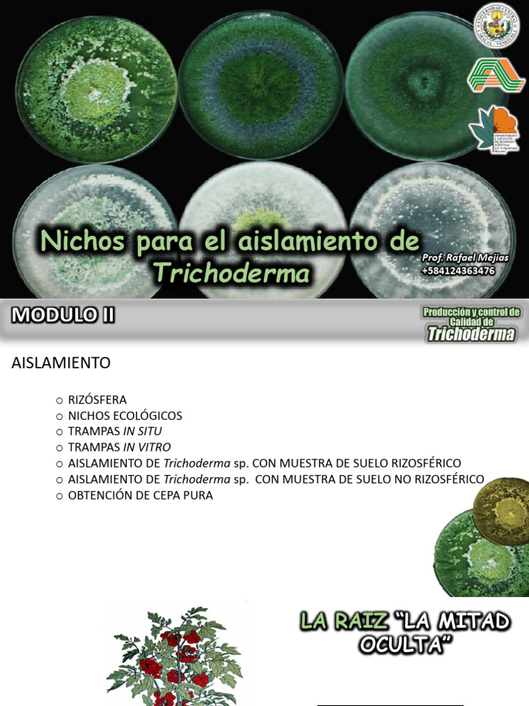 Nichos y Técnicas de Aislamiento de Trichoderma | PDF | Suelo | Ecología