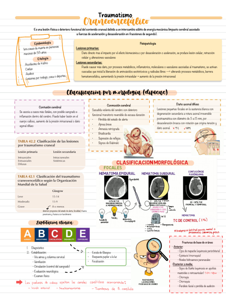 Trauma craneoencefalico | PDF | Especialidades Medicas | Enfermedades y ...