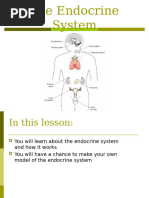 Endocrine System | PDF | Endocrine System | Hormone