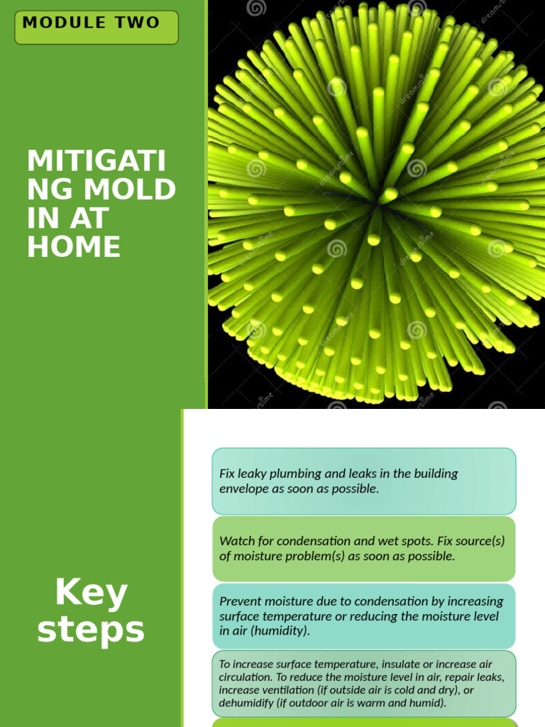 Home Mold Mitigation Guide | PDF | Humidity | Building Engineering