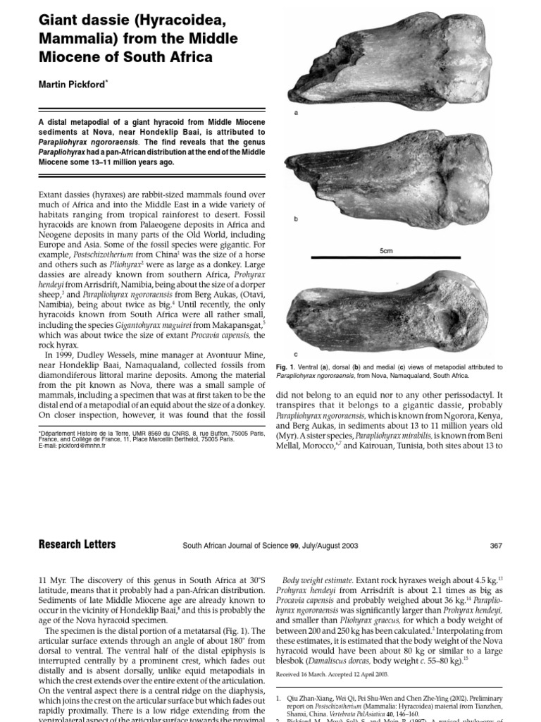 2003 PickfordGiant Dassie (Hyracoidea, Mammalia) From the Middle ...
