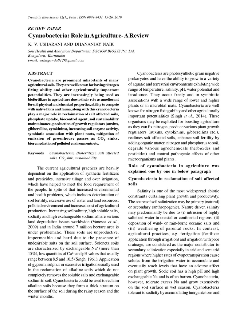 Cyanobacteria Role in Agriculture A Revi | PDF | Soil | Cyanobacteria