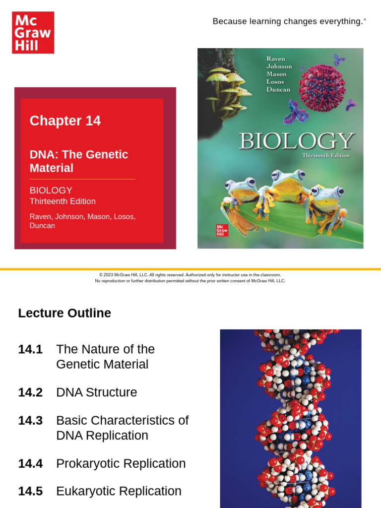 Chapter 14 - DNA The Genetic Material | PDF | Dna Replication | Dna