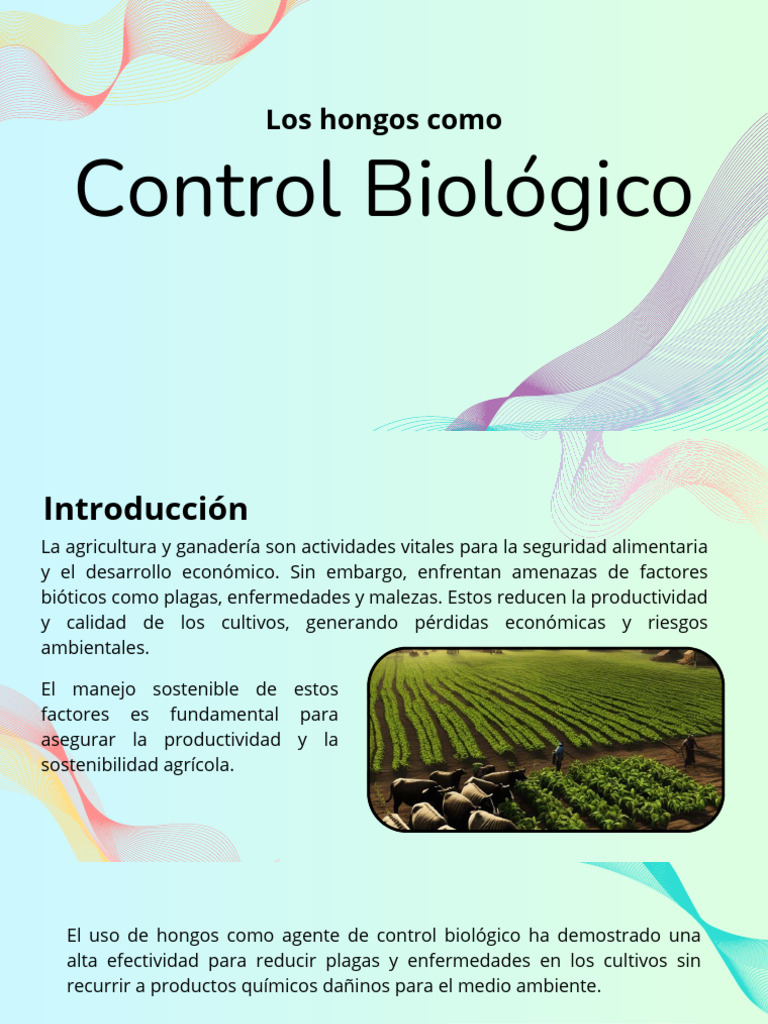 Control Biológico con Hongos en Agricultura | PDF | Control biológico ...