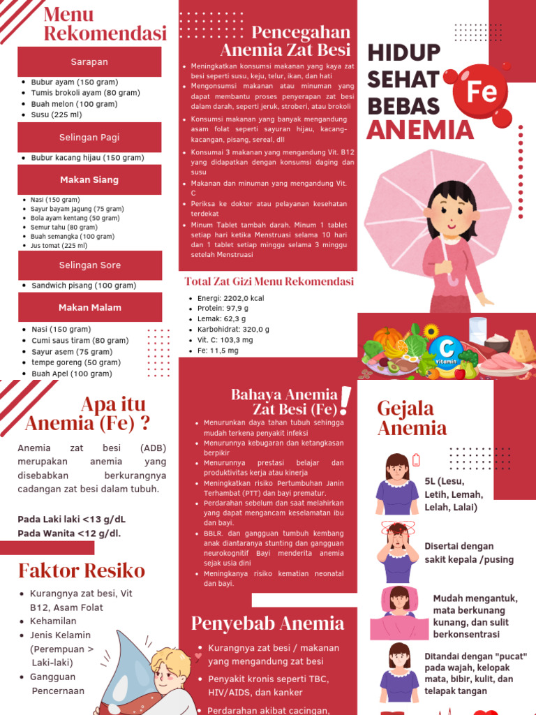 Leaflet Anemia - Kelompok C | PDF