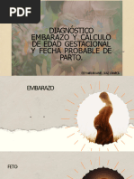 Carpeta de Embarazo PDF | PDF