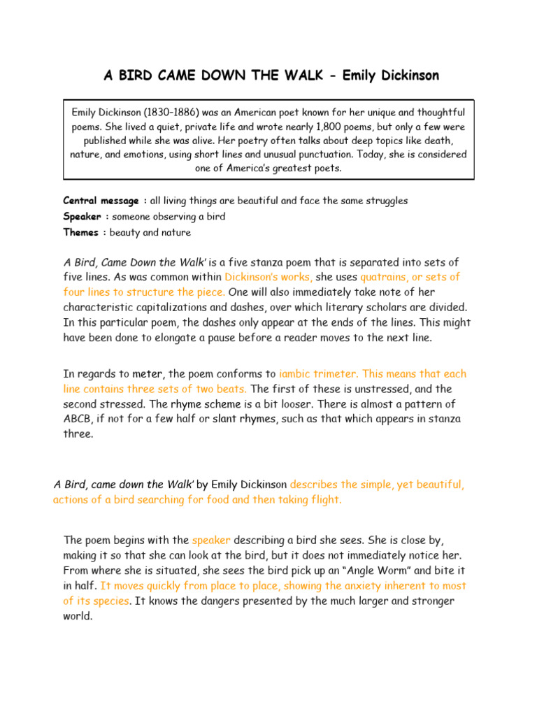 A Bird Came Down The Walk | PDF | Poetry | Emily Dickinson