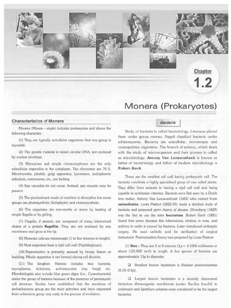 Errorless Biology Monera | PDF