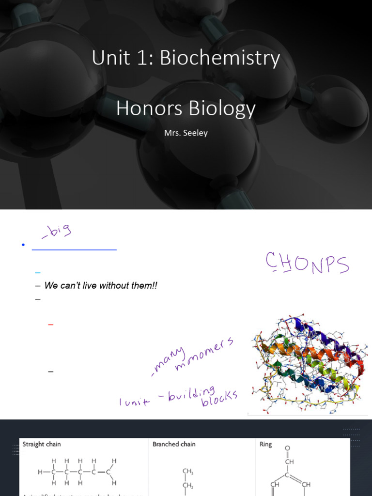Biochemistry: Macromolecules Overview | PDF | Carbohydrates ...