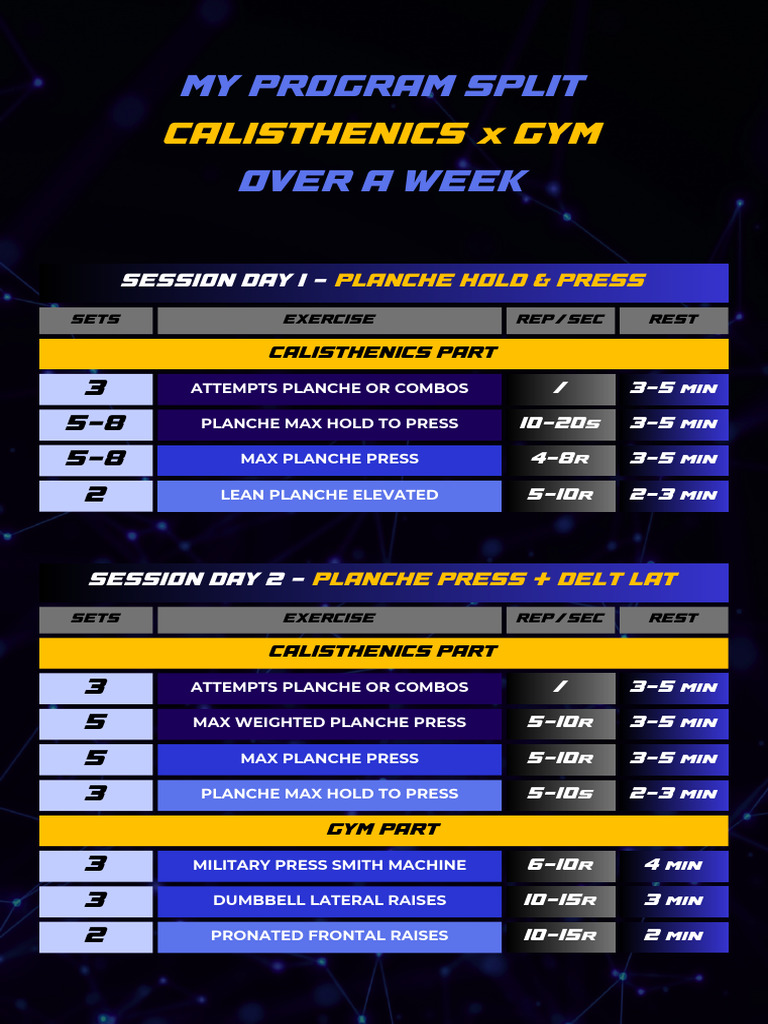 Calisthenics Planche Workout Program | PDF | Musculoskeletal System ...