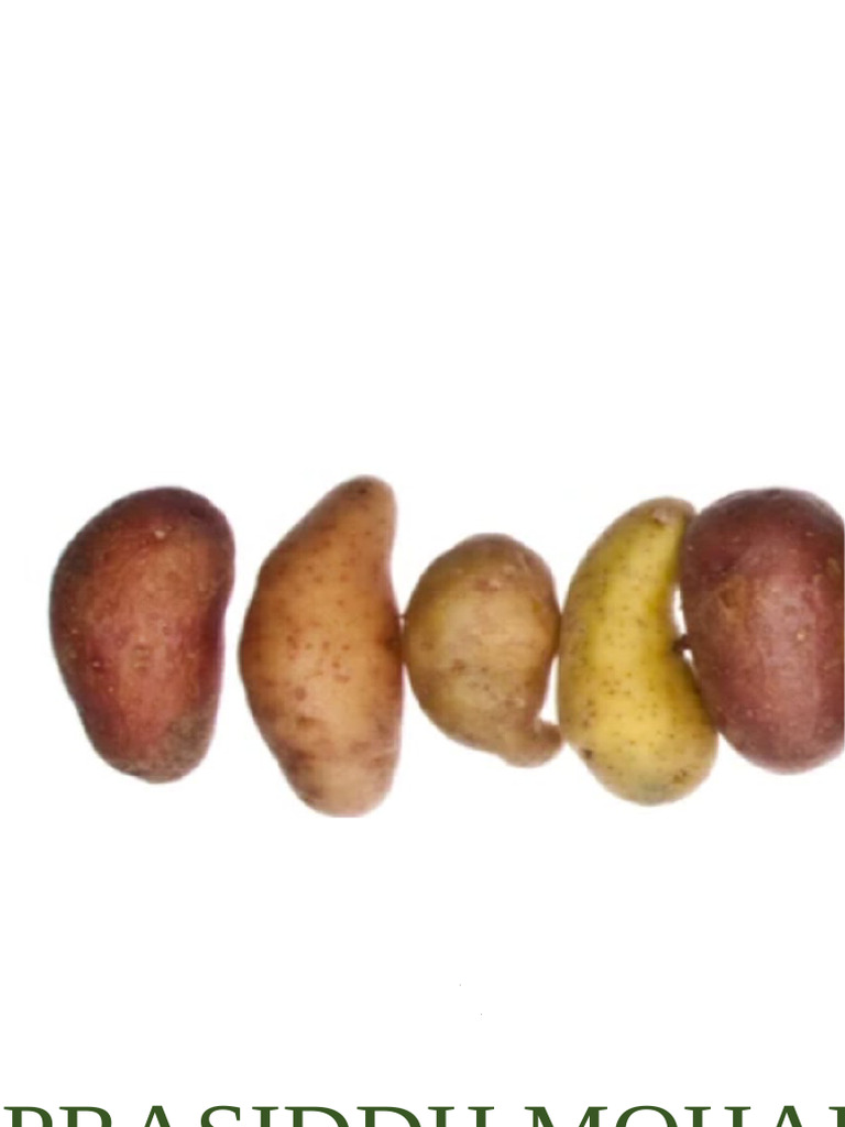 Potato project pictures | PDF