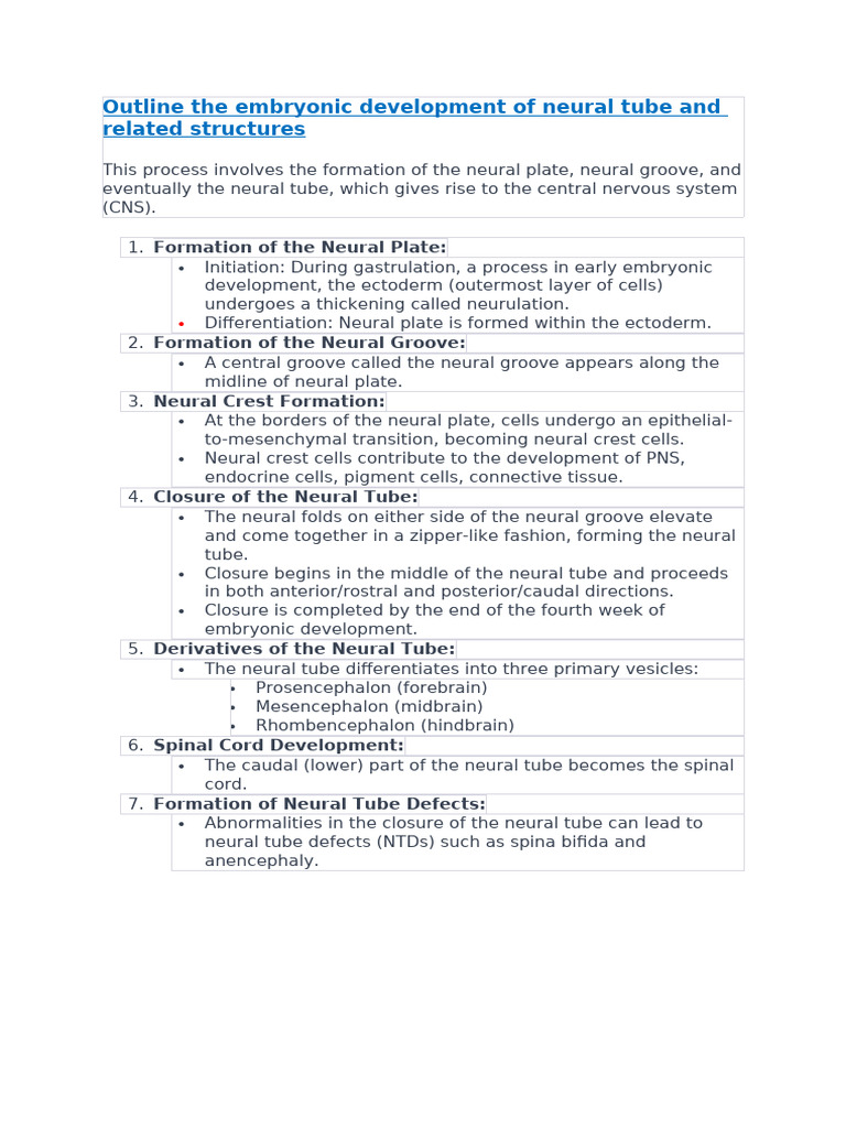 Neural Tube Development Overview | PDF