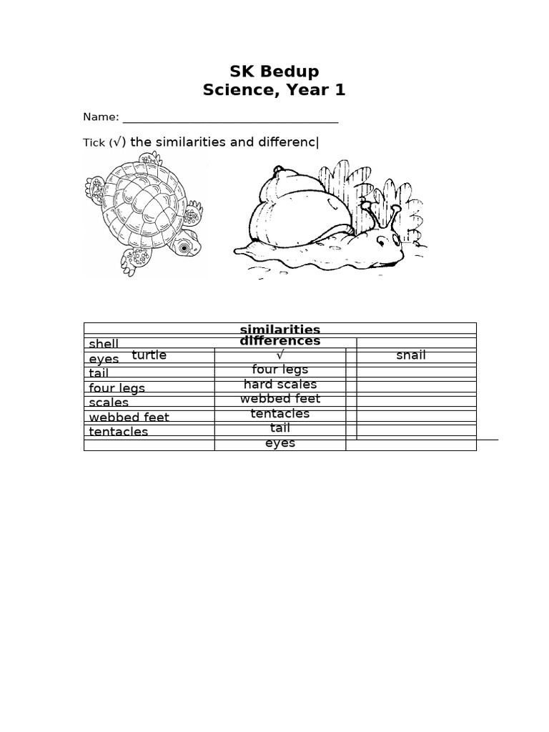 Similarities and Differences | PDF