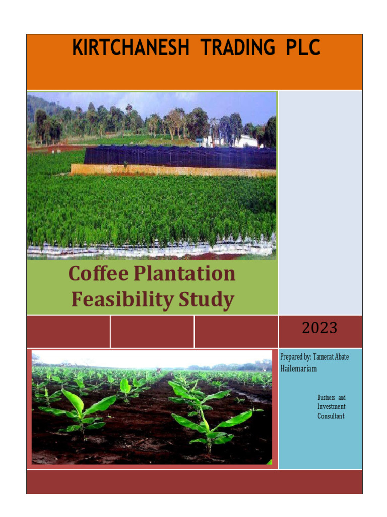 Coffee Plantation Proposal | PDF | Coffee | Agriculture