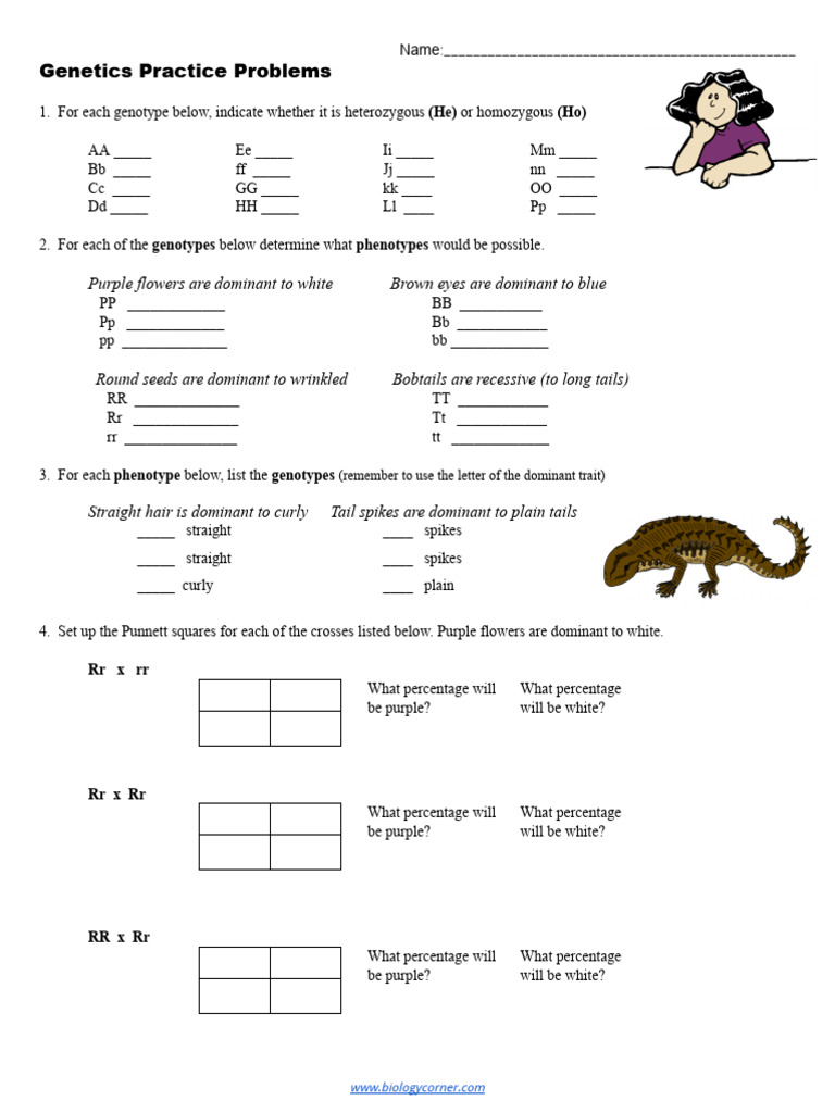 Practice - Medelian Genetics | PDF | Genotype | Zygosity