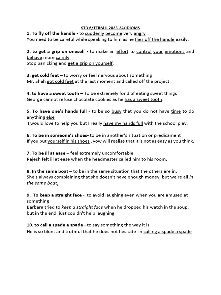 Common Idioms Explained for Students | PDF
