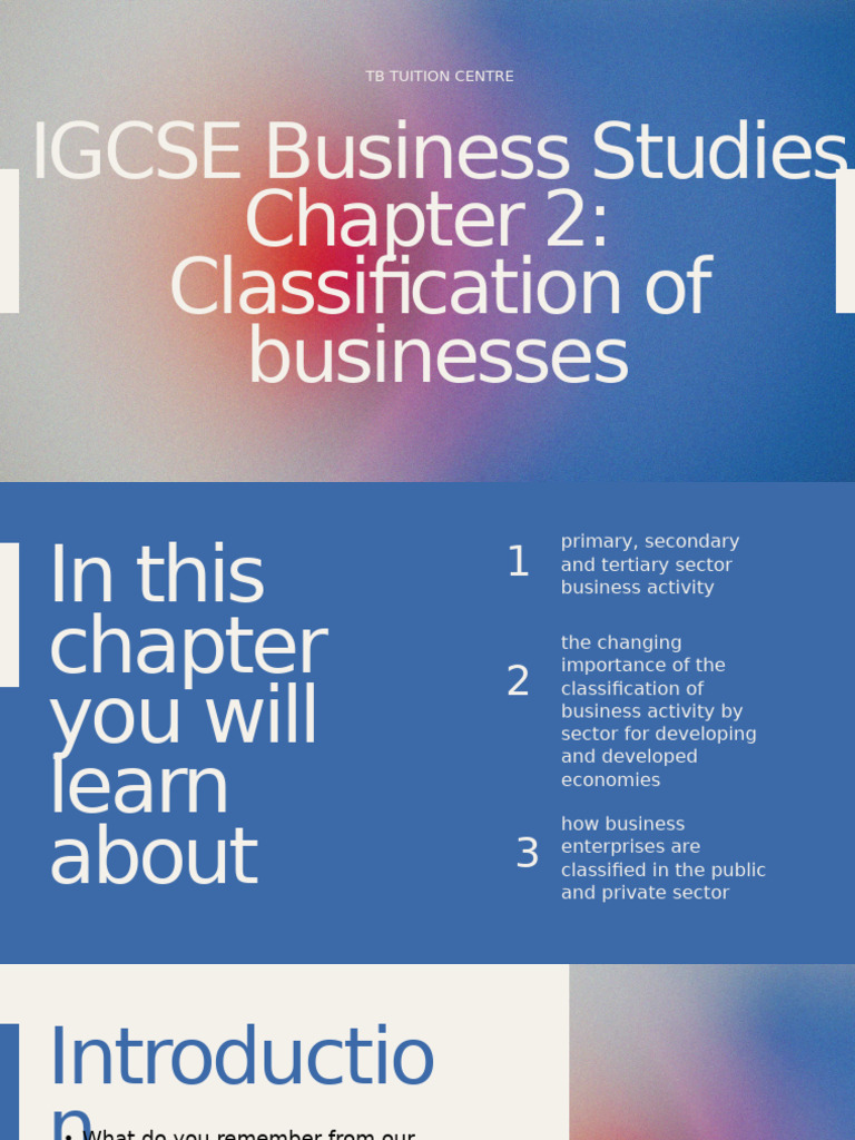 IGCSE Business Studies ch2 | PDF | Profit (Economics) | Developing Country