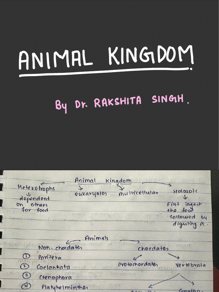 Animal Kingdom notes for neet 2025 | PDF