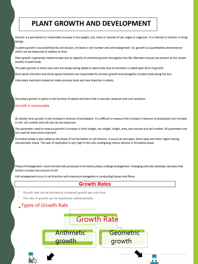 Plant Growth and Development Guide | PDF | Plant Hormone | Auxin