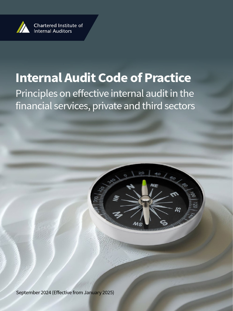Code of Practice Document - September2024 | PDF | Internal Audit | Audit