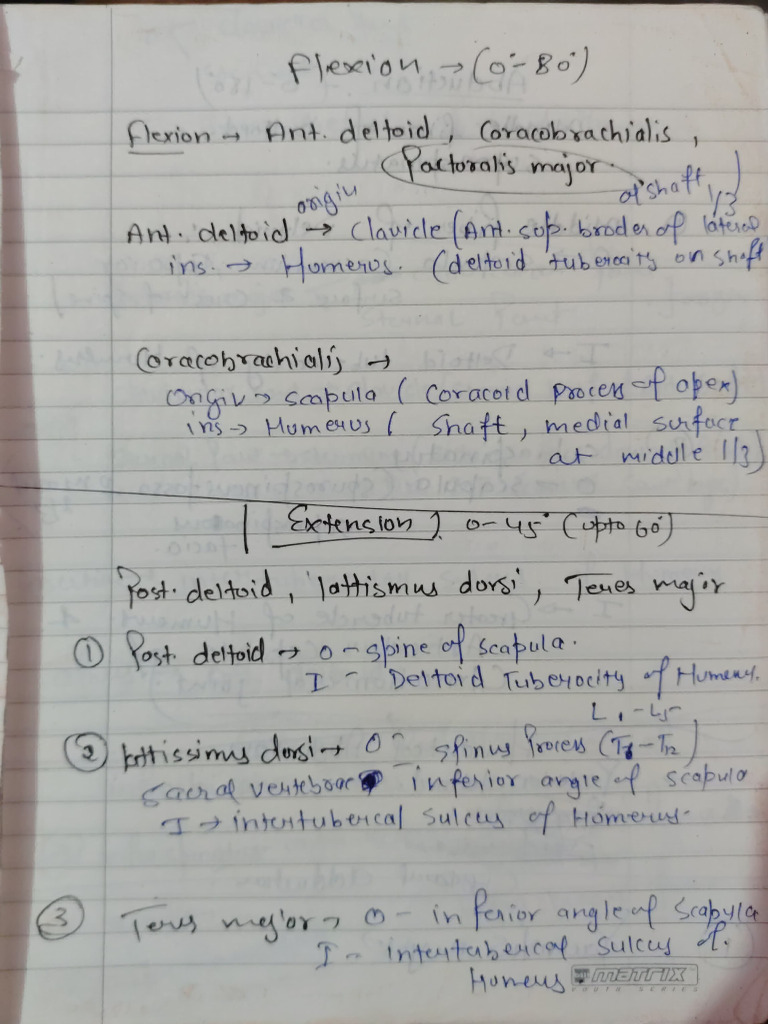 D Notes | PDF