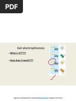 How To Read, Interpret and Analyze Gel Electrophoresis Results | PDF | Gel Electrophoresis ...