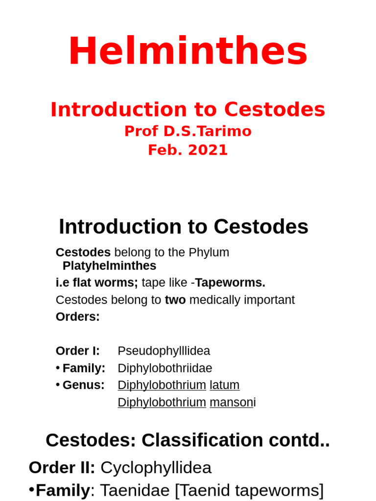 1) Introduction To Cestodes 2021 | PDF | Protostomes