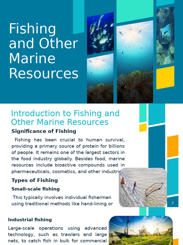 Marine Resources & Fishing Overview | PDF | Overfishing | Trawling