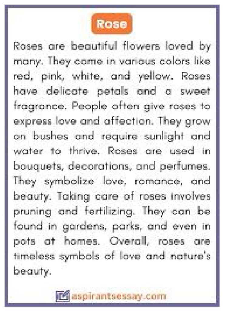 Rose Essay | PDF