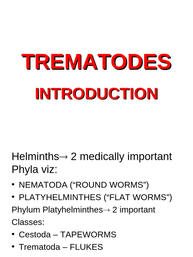 1) Introduction To Trematodes | PDF | Protostomes | Parasitology
