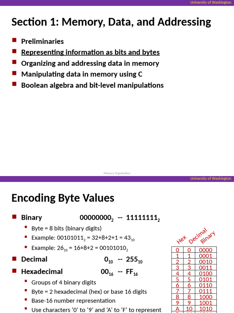 Lecture Slides 01 012-Memorg | PDF | 64 Bit Computing | Computer Architecture