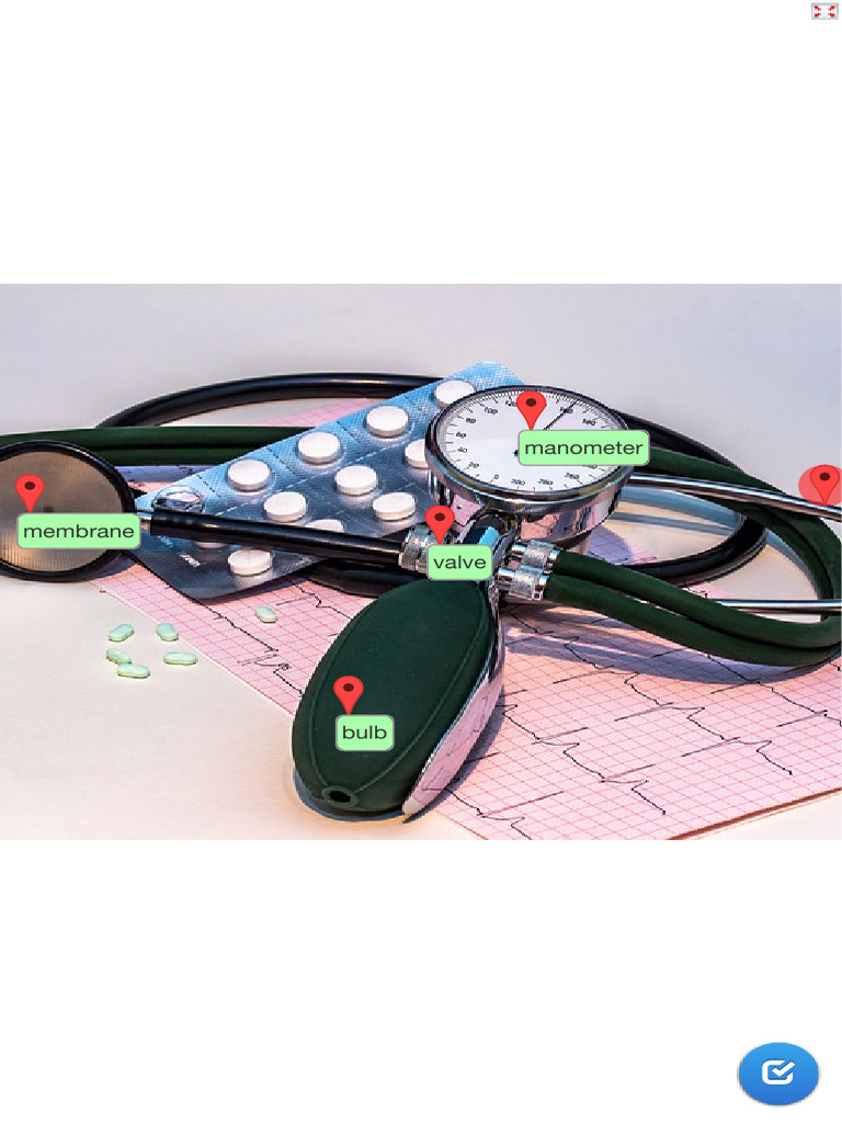 The blood pressure items | PDF