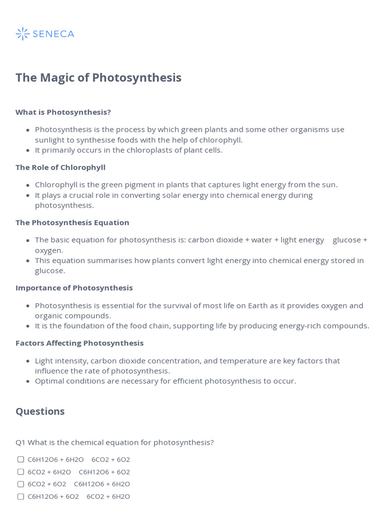 Photosynthesis Basics for Students | PDF | Photosynthesis | Plants