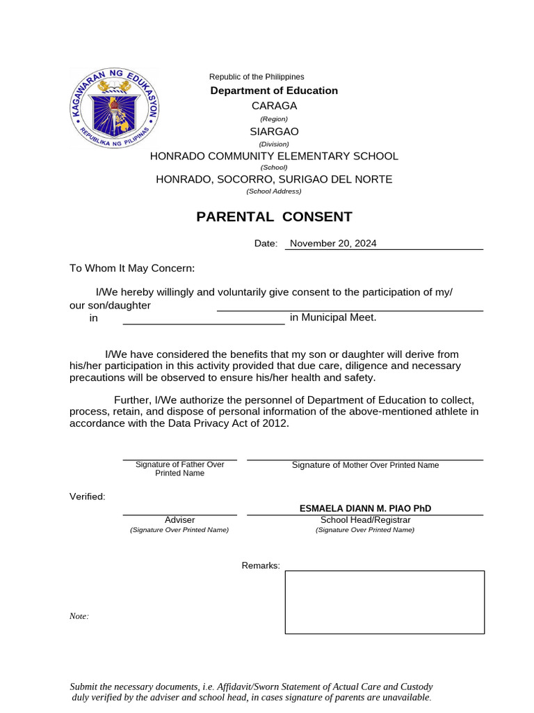 P Consent | PDF