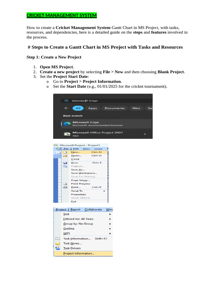 How to create a Cricket Management System Gantt Chart in MS Project ...