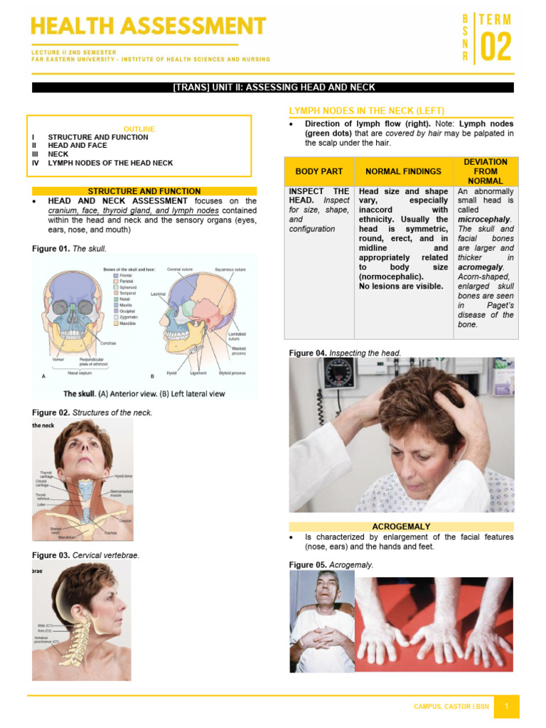 5-HEALTH ASSESSMENT_LEC_ASSESSING THE HEAD, FACE, AND NECK | PDF | Neck ...