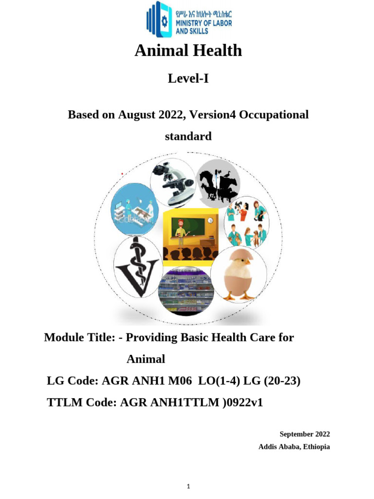 6 M Provide Basic Health Care 1 1 | PDF | Digestion | Milk