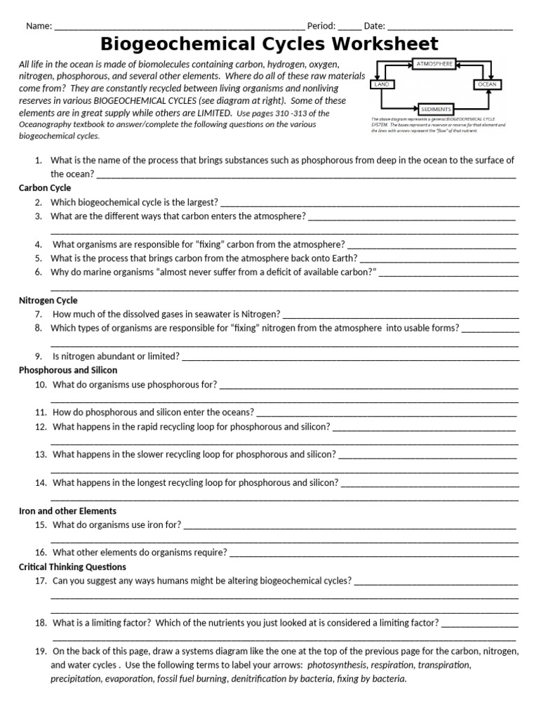Biogeochemical Cycles Worksheet | PDF | Oceans | Environmental Engineering